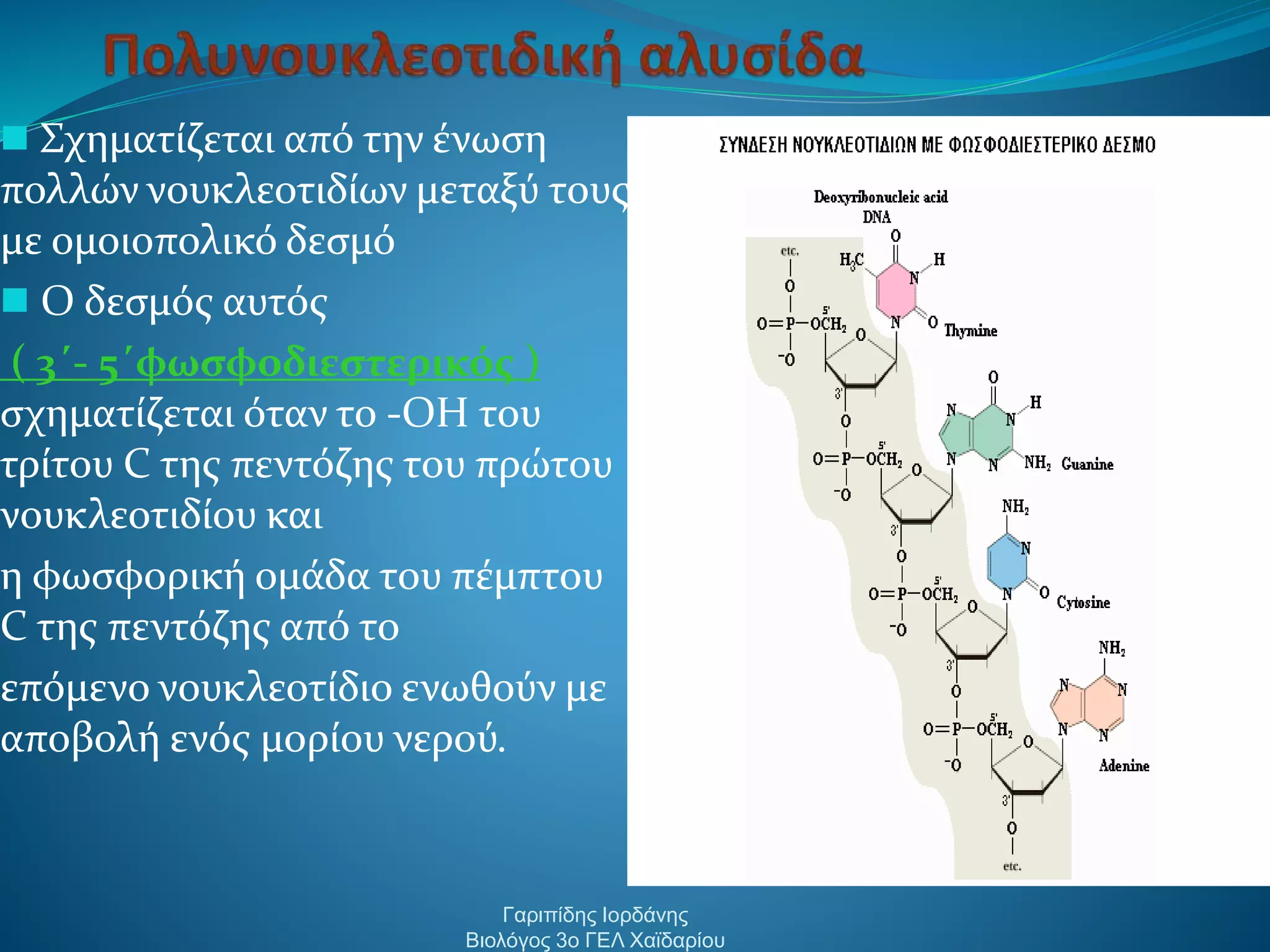 διπλή έλικα του Dna | PPSX