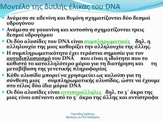 διπλή έλικα του Dna | PPSX