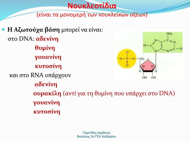 Δομή του Dna | PPSX