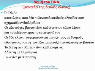 Δομή του Dna | PPSX