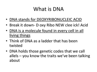 Dna | PPTX | Biological Sciences | Science