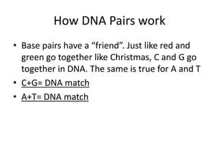 Dna | PPTX
