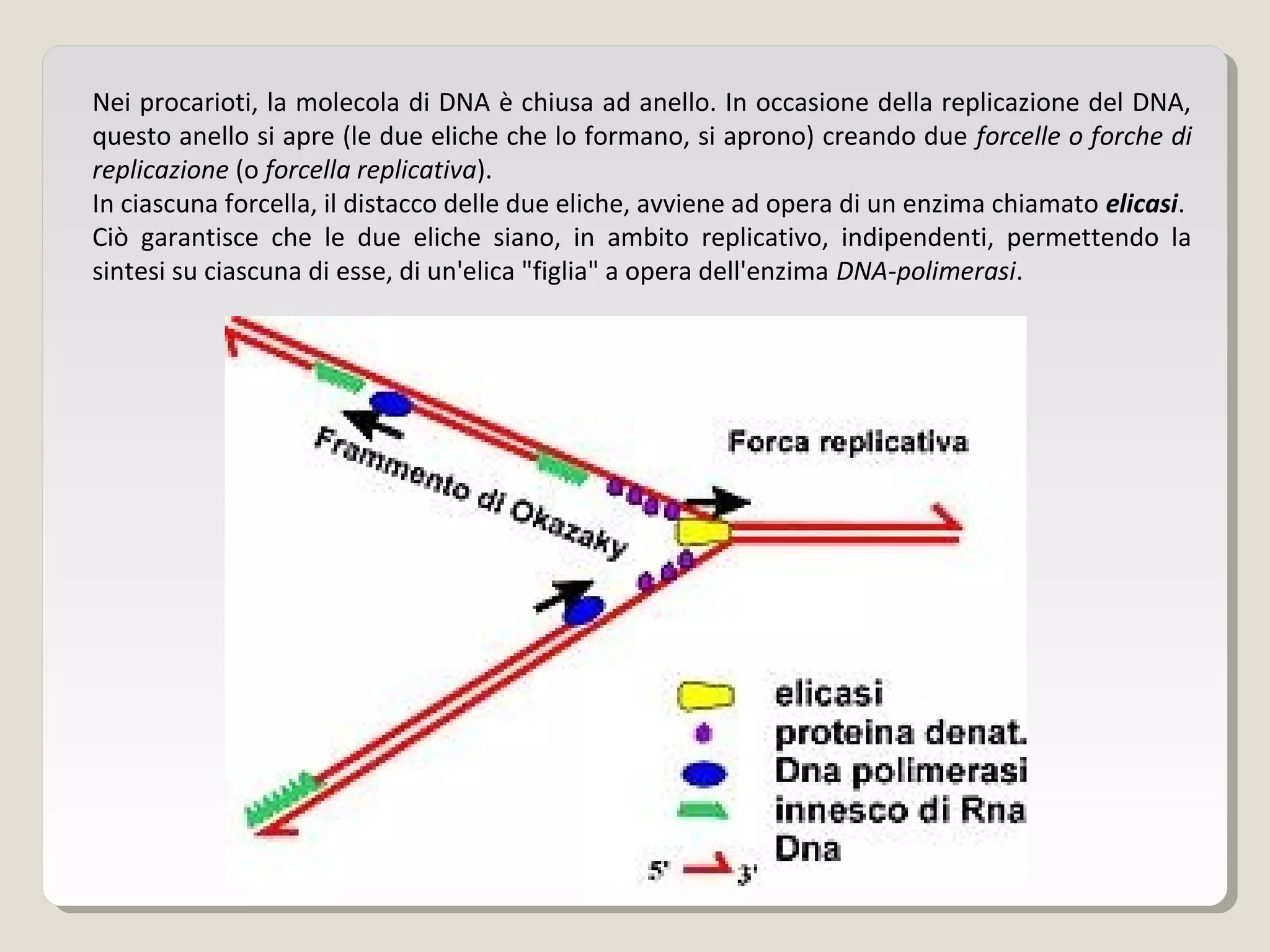 Alla scoperta del materiale genetico: il DNA, la sua duplicazione | PPT