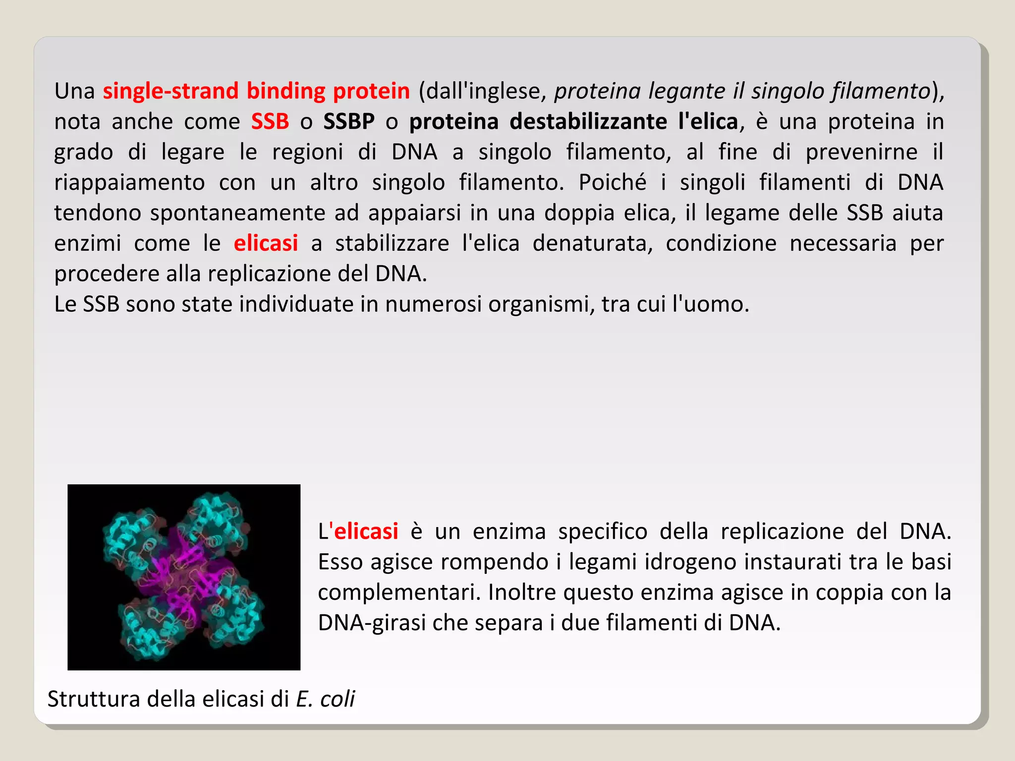 Alla scoperta del materiale genetico: il DNA, la sua duplicazione | PPT