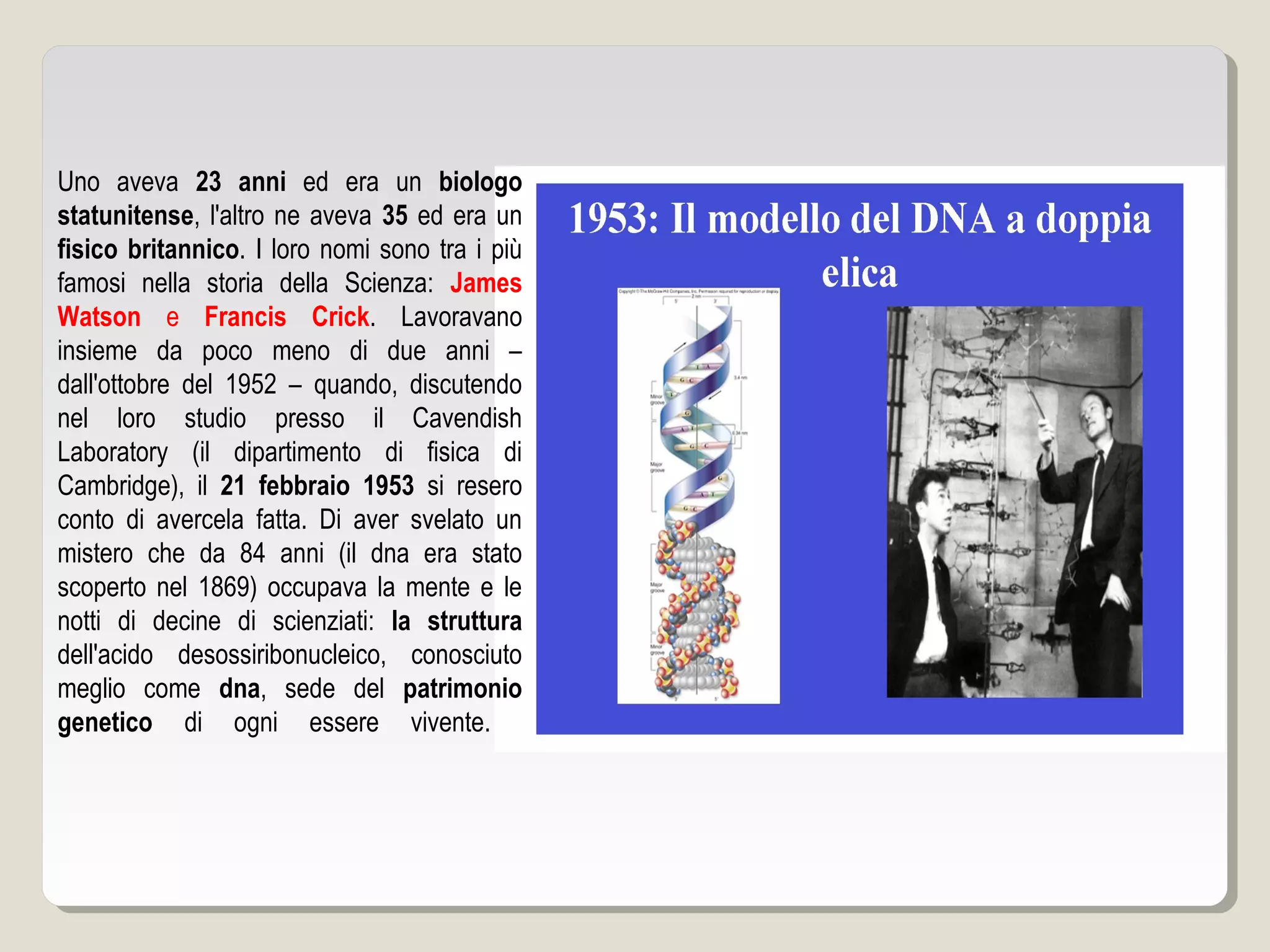 Alla scoperta del materiale genetico: il DNA, la sua duplicazione | PPT