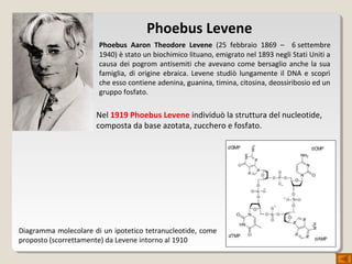 Alla scoperta del materiale genetico: il DNA, la sua duplicazione | PPT