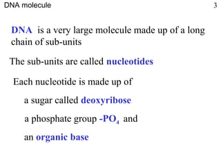Biology DNA | PPT