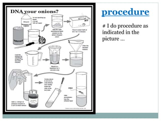 DNA extraction | PPT