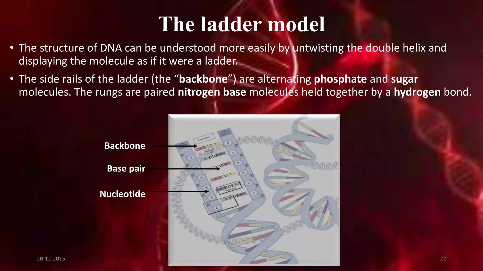 DNA (Deoxyribonucleic acid) | PPTX