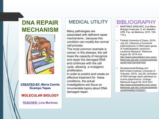 Dna Repair Mechanisms | PPT