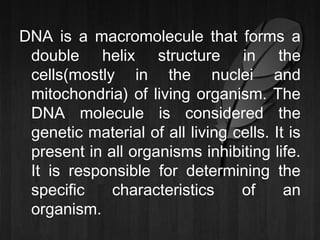 DNA: BOOK OF LIFE | PPT