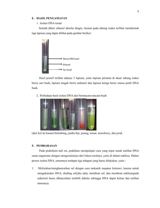 Dna | PDF