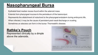 Surgical Anatomy of Nasopharynx- Debashis Nanda | PPT