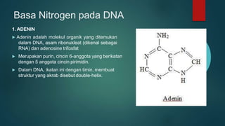 DNA | PPT