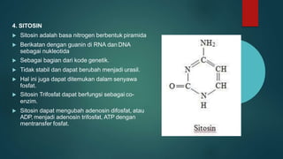 DNA | PPTX