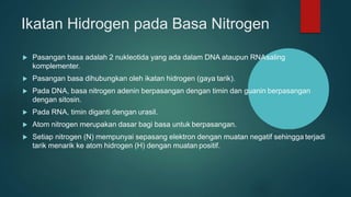 DNA | PPT