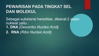 DNA | PPT