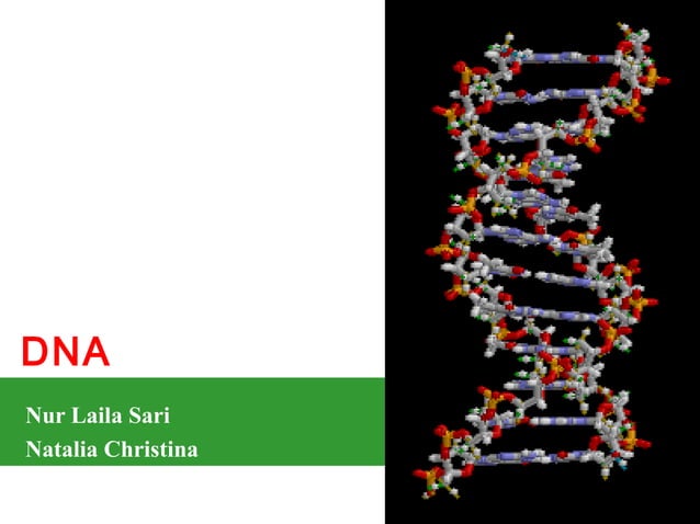 DNA | PPT