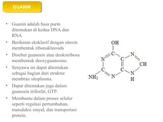 DNA | PPT