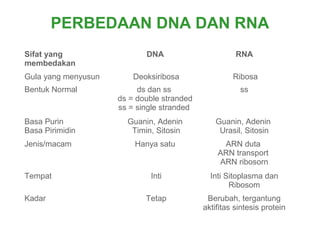 DNA | PPT