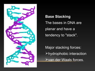 DNA | PPT