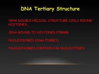 DNA | PPT