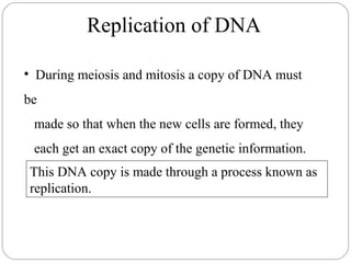 DNA - deoxyribonucleic acid | PPT