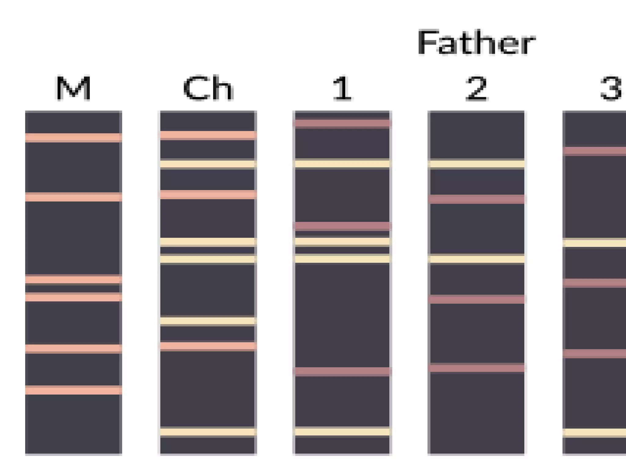 Forensic Dna Profiling Pptx