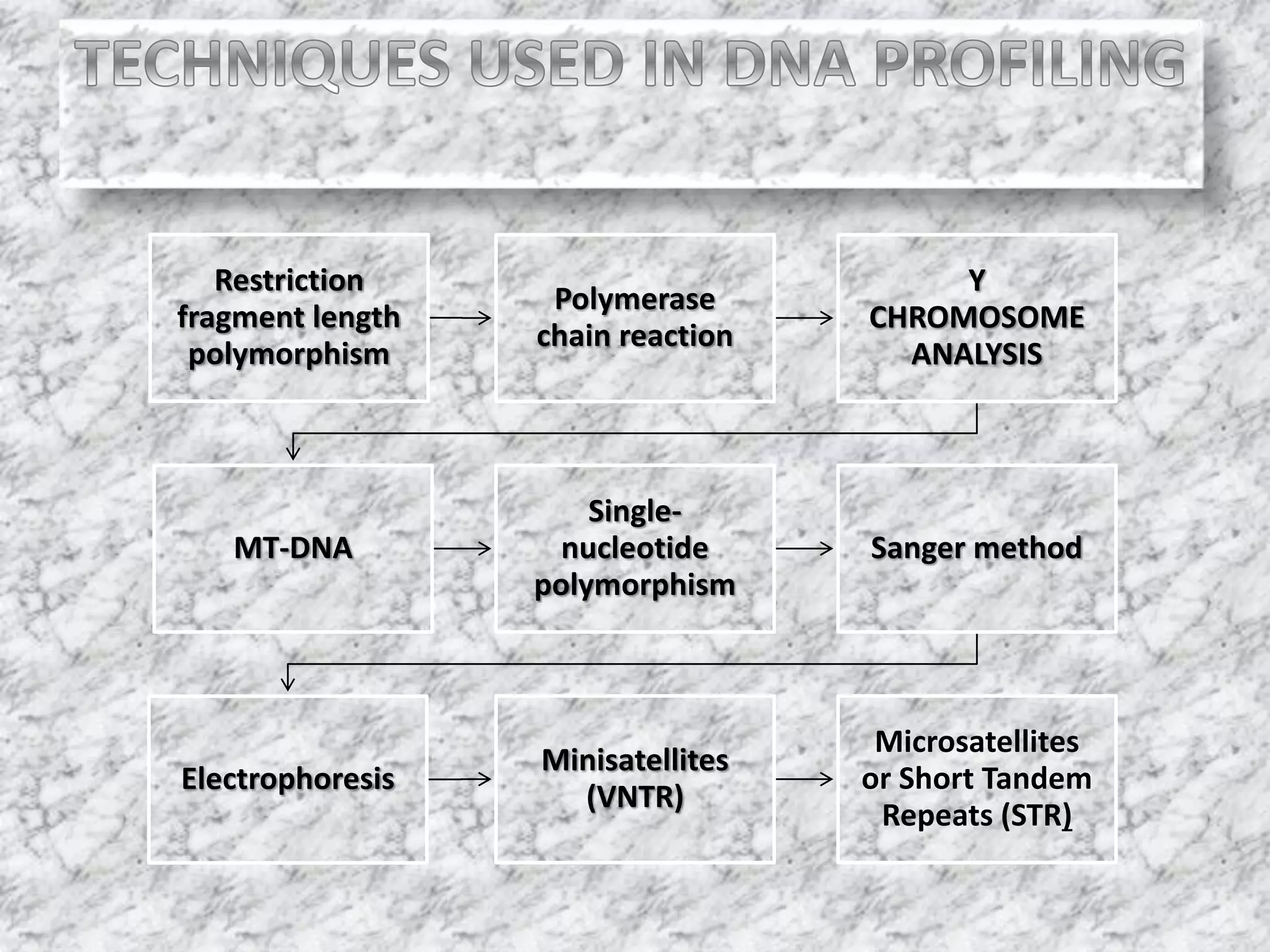 Forensic DNA Profiling | PPTX | Genealogy and Ancestry | Hobbies ...