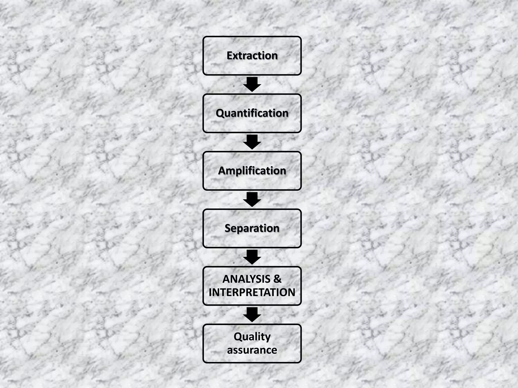 Forensic DNA Profiling | PPTX