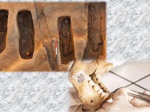 Forensic Dna Profiling Pptx Genealogy And Ancestry Hobbies And Interests