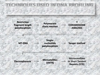 Forensic DNA Profiling | PPTX