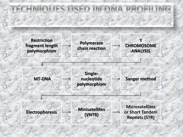 Forensic Dna Profiling Pptx