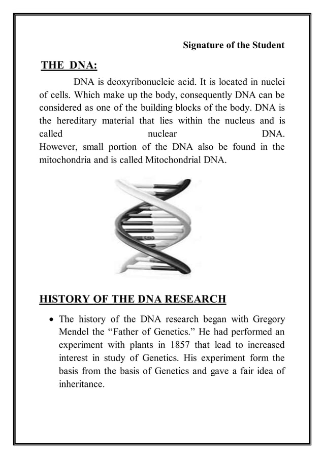 Dna | DOCX | Genetics | Science