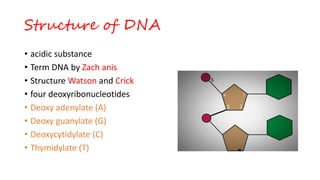 DNA structure as genetic material | PPTX