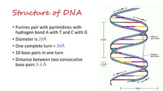 DNA structure as genetic material | PPTX