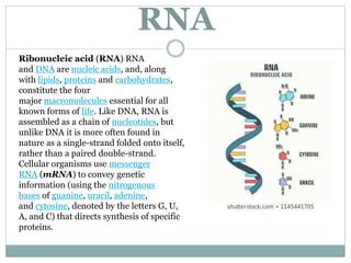 Dna | PPT