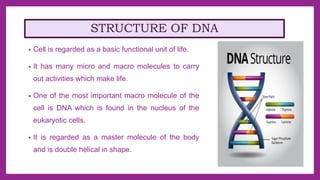 Dna | PPT