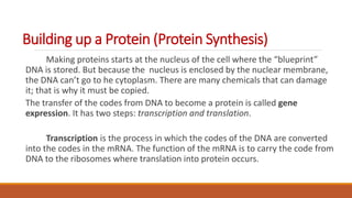 Dna | PPTX