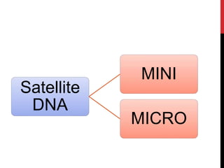 DNA fingerprinting- criminology and paternal identification | PPTX
