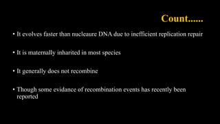 Mitochondrial vs Plastid DNA | PPT