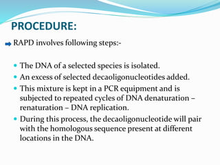 Random Amplified Polymorphic Dna | PPTX