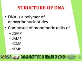 DNA.pptx