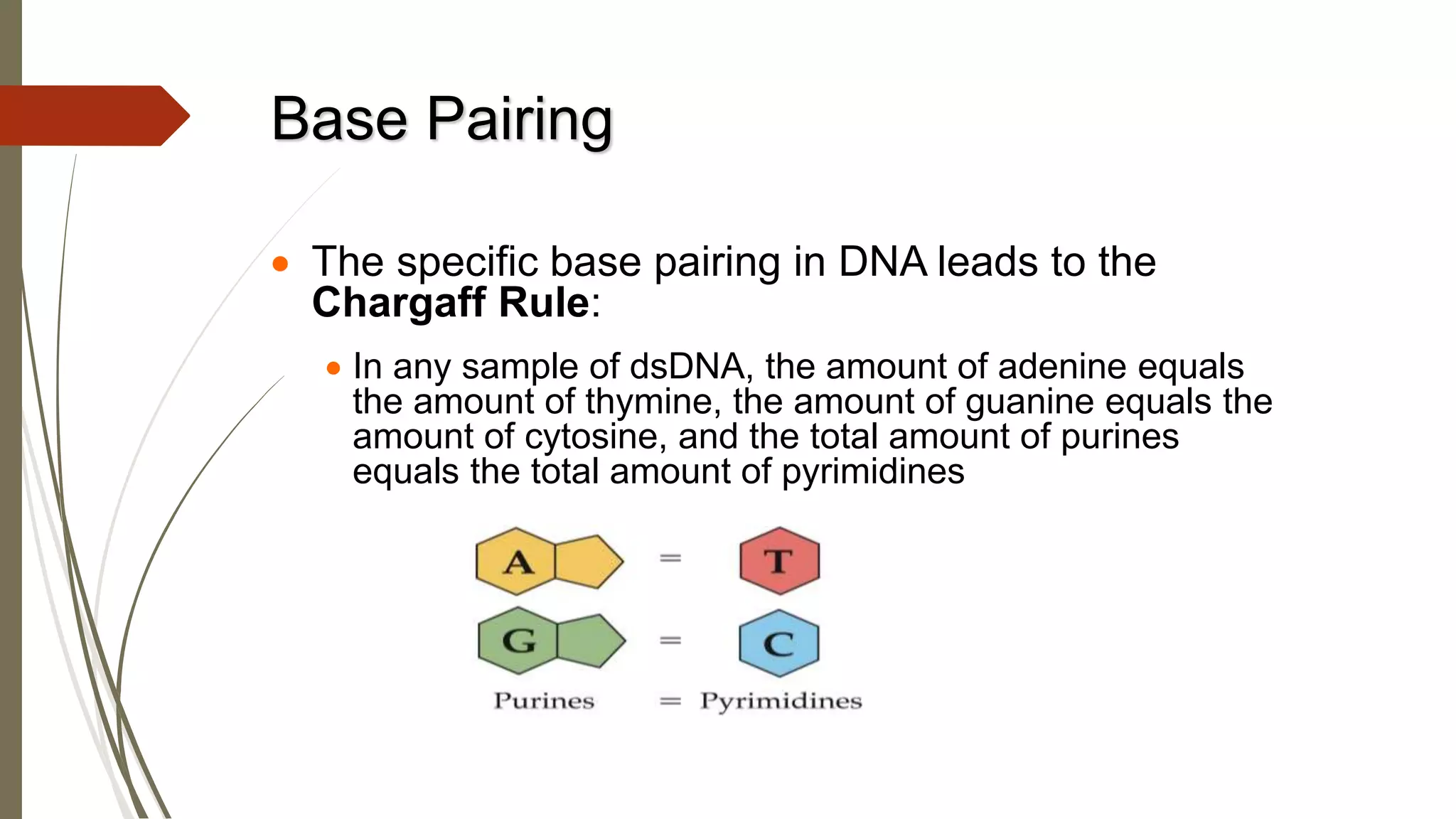DNA.pptx | Genetics | Science