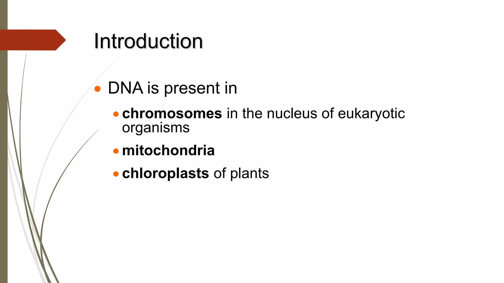 DNA.pptx | Genetics | Science
