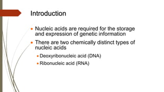 DNA.pptx | Genetics | Science