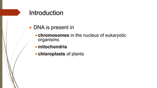 DNA.pptx | Genetics | Science