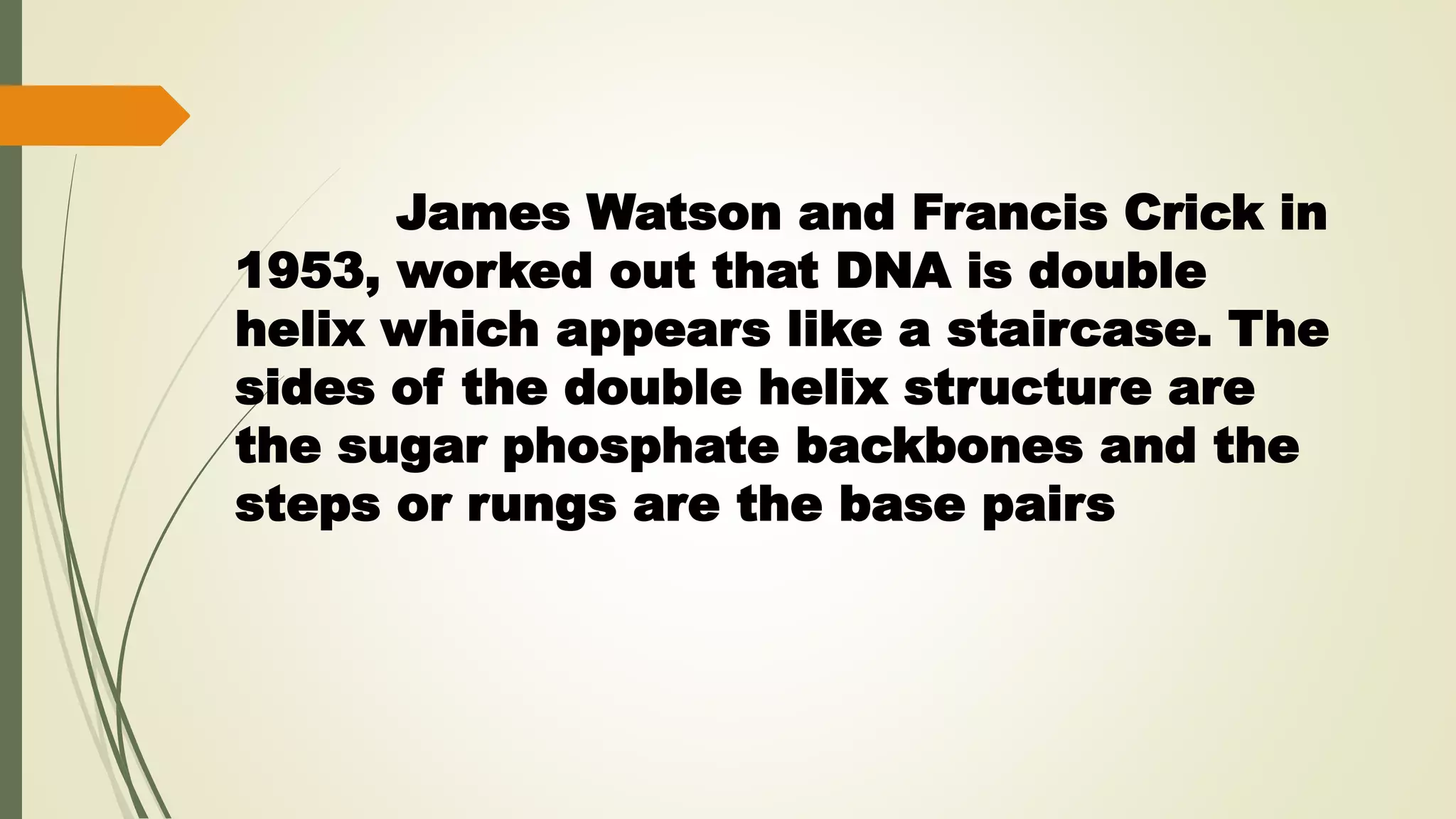 DNA.pptx