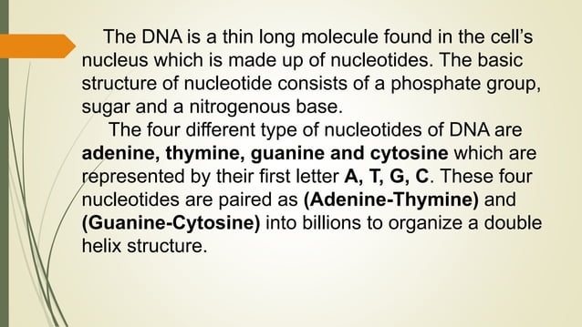 DNA.pptx