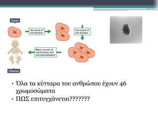 DNA ΑΝΤΙΓΡΑΦΗ.ppt